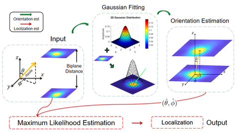 Biplane imaging of fixed dipole emitters in Single Molecule ...